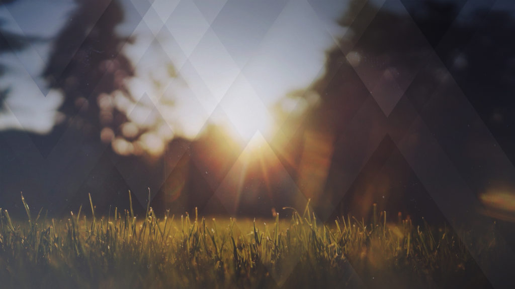 Home | Hartland Bible Church